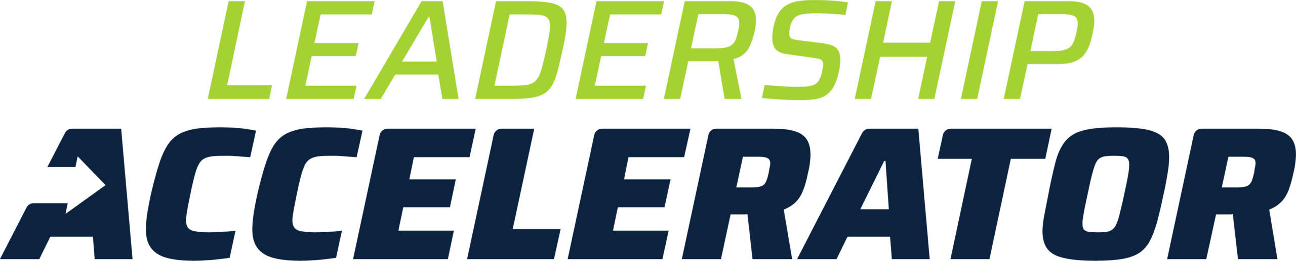 Leadership Accelerator - Southwest Michigan Regional Chamber